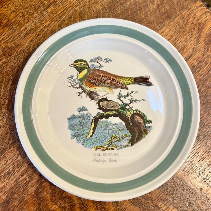 Ceramic Bird Plates - Etsy