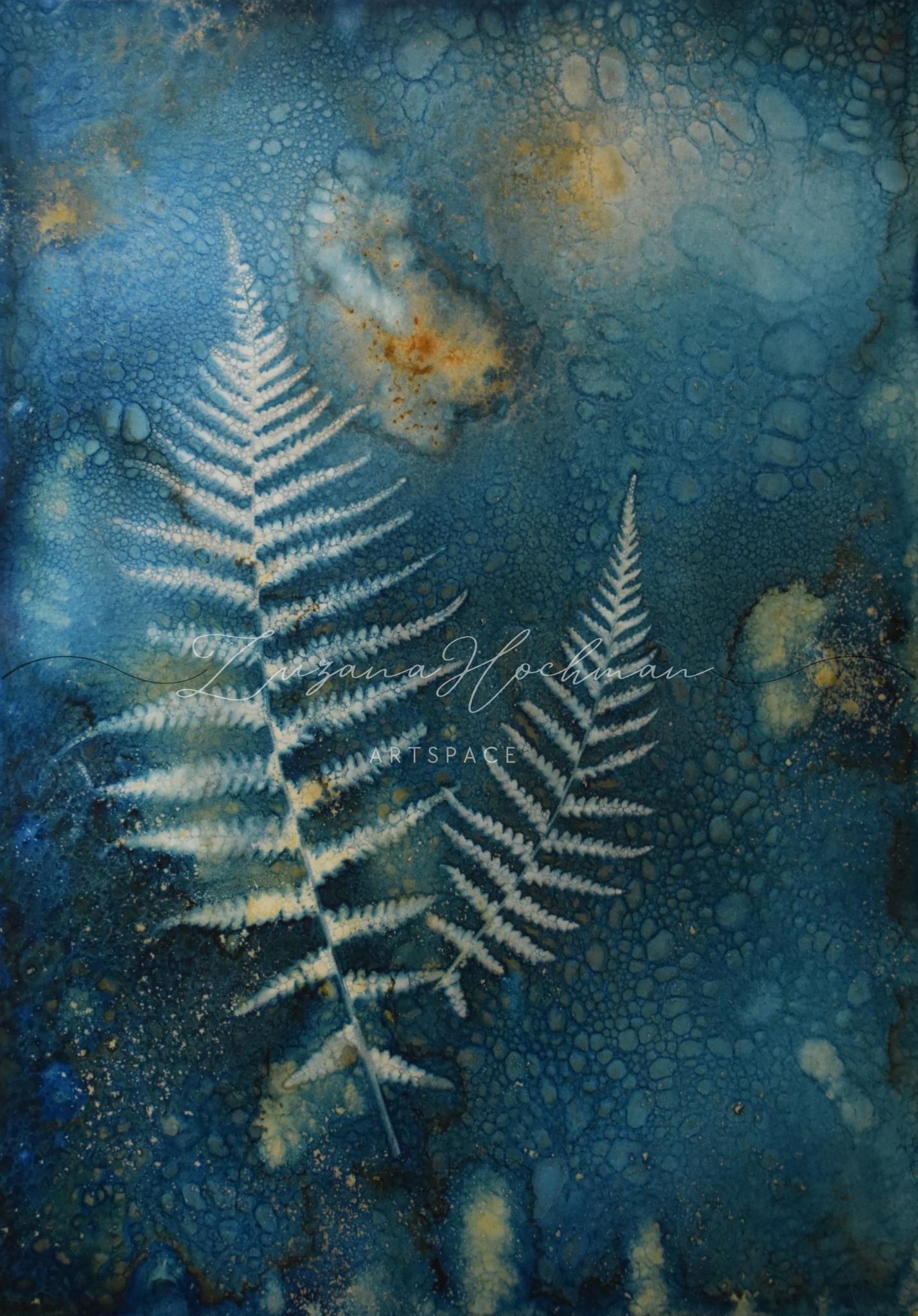 Original Wet Cyanotype Artwork Size A3 - Etsy