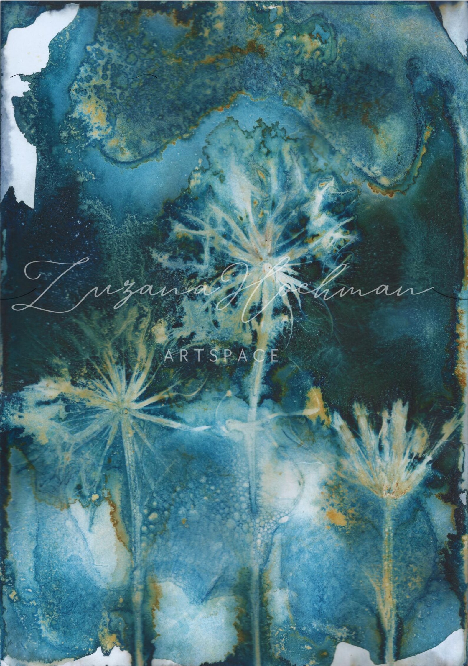 Original Wet Cyanotype Artwork Size A4 - Etsy