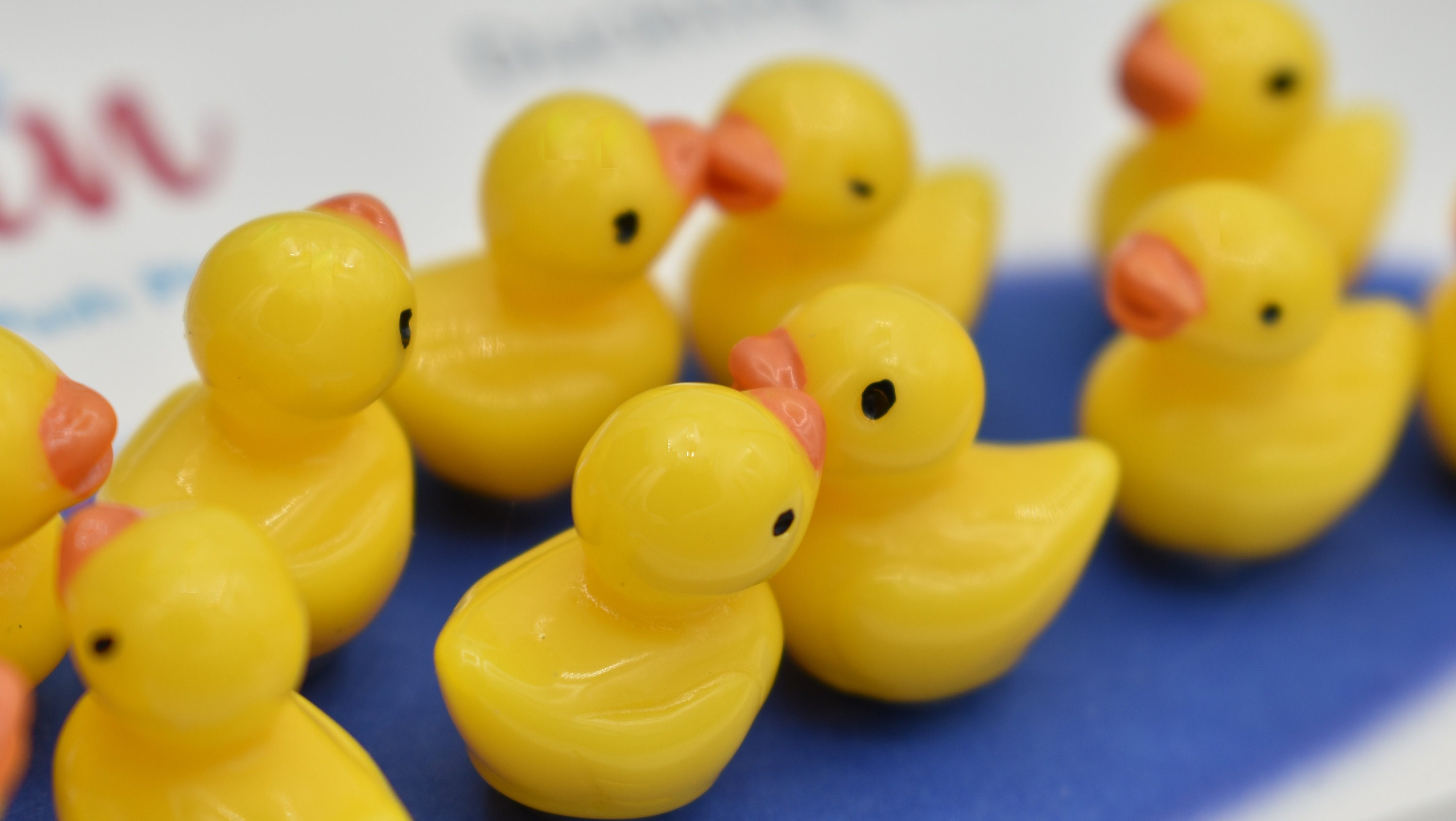 12 - Cute Duck Magnets, Refrigerator Magnets, Duck Decor, Decorative ...