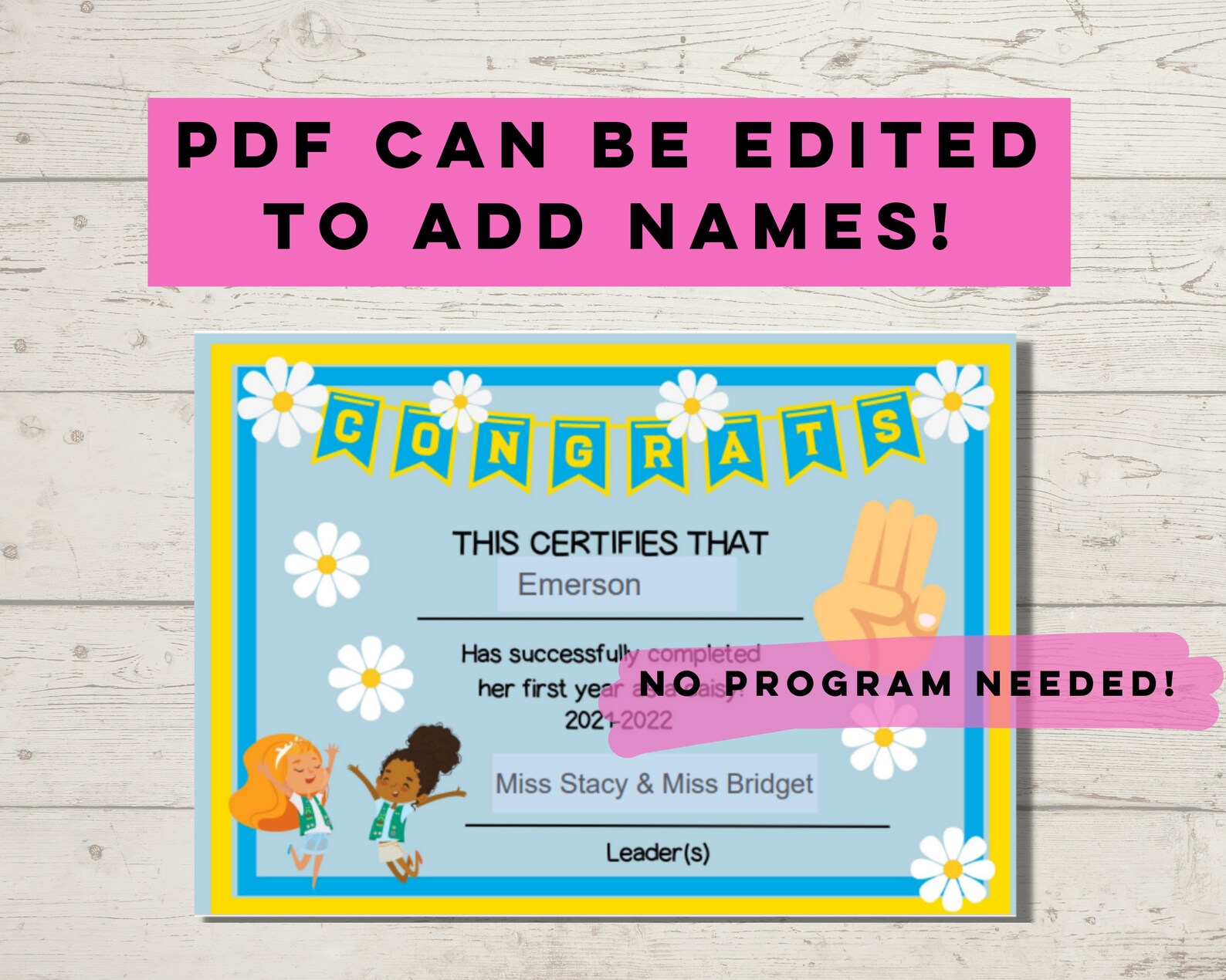 Editable End of Year Daisy Certificate Girl Scout Printable - Etsy