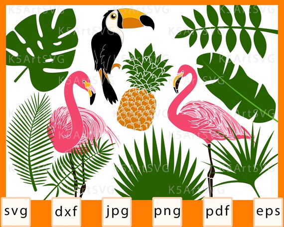 Tropical SVG Designs SVG Cut Files Tropical Leaves Birds | Etsy