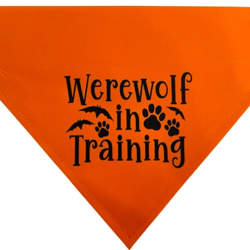 Werewolf in Dog Costume - Etsy UK