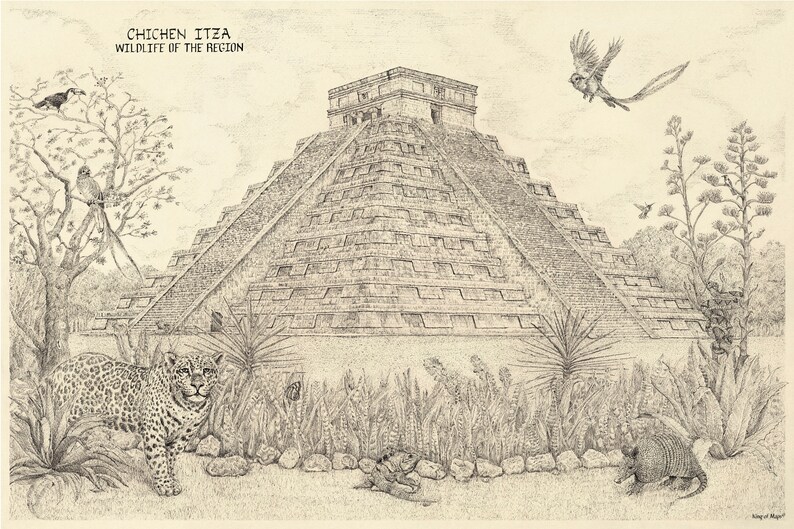 Chichén Itzá Wildlife Map – Hand‑drawn Art Print – Kukulkán Pyramid ...