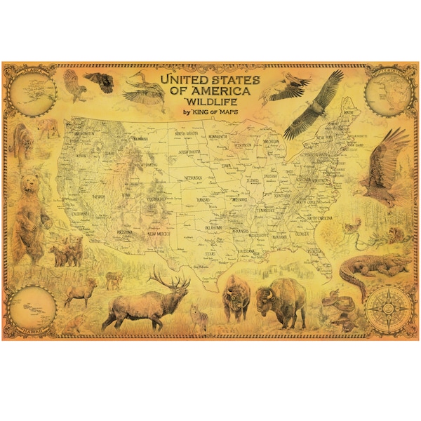 Usa Map With Wildlife - Etsy