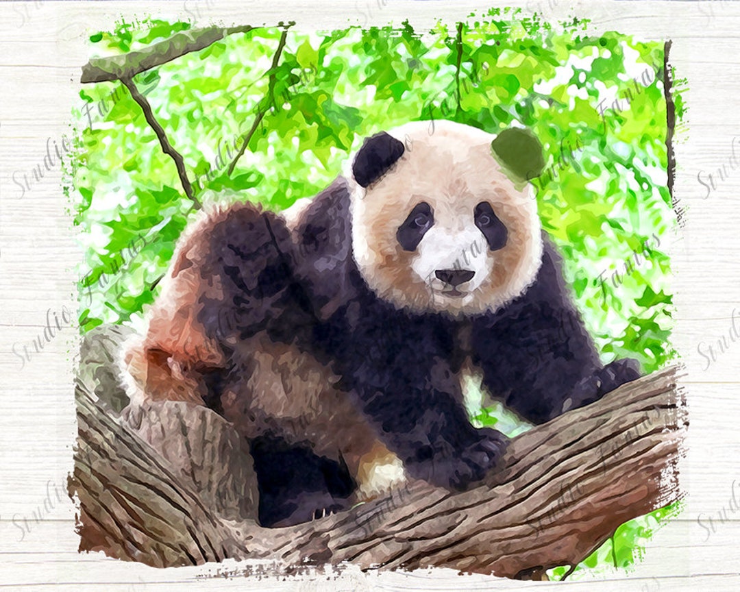 SUBLIMATION Png/design Sublimation/panda Sublimation Png/panda Tumbler ...