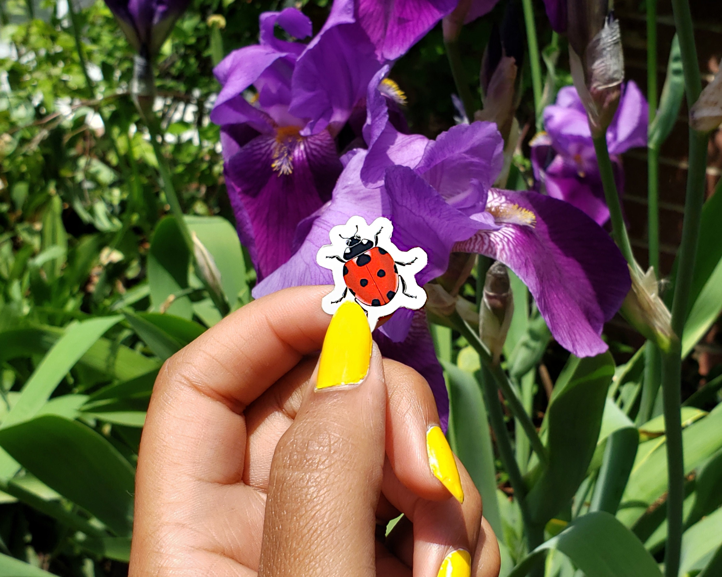 Bee and Lady Bug Vinyl Sticker Pack Little Bumble Bee Fine - Etsy