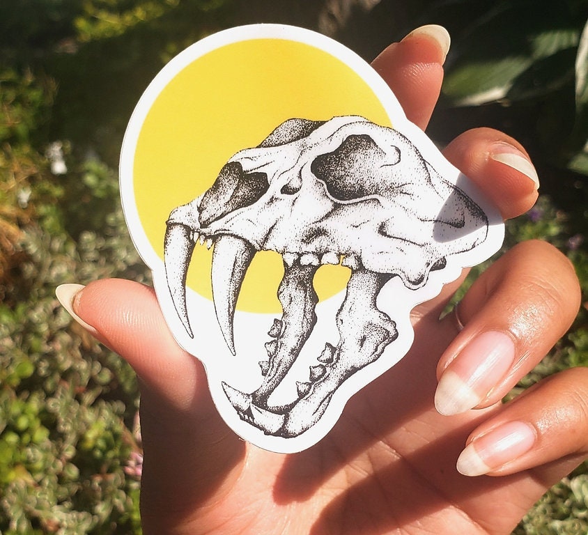 Tiger Skull Drawing