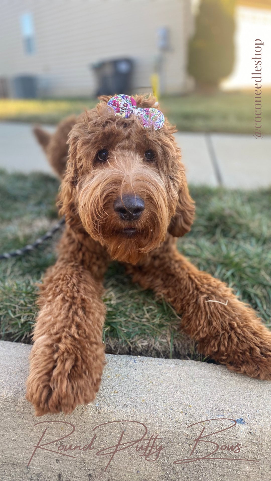 Round Puffy Bows for Dogs, Dog Hair Clip, Dog Hair Bow - Etsy