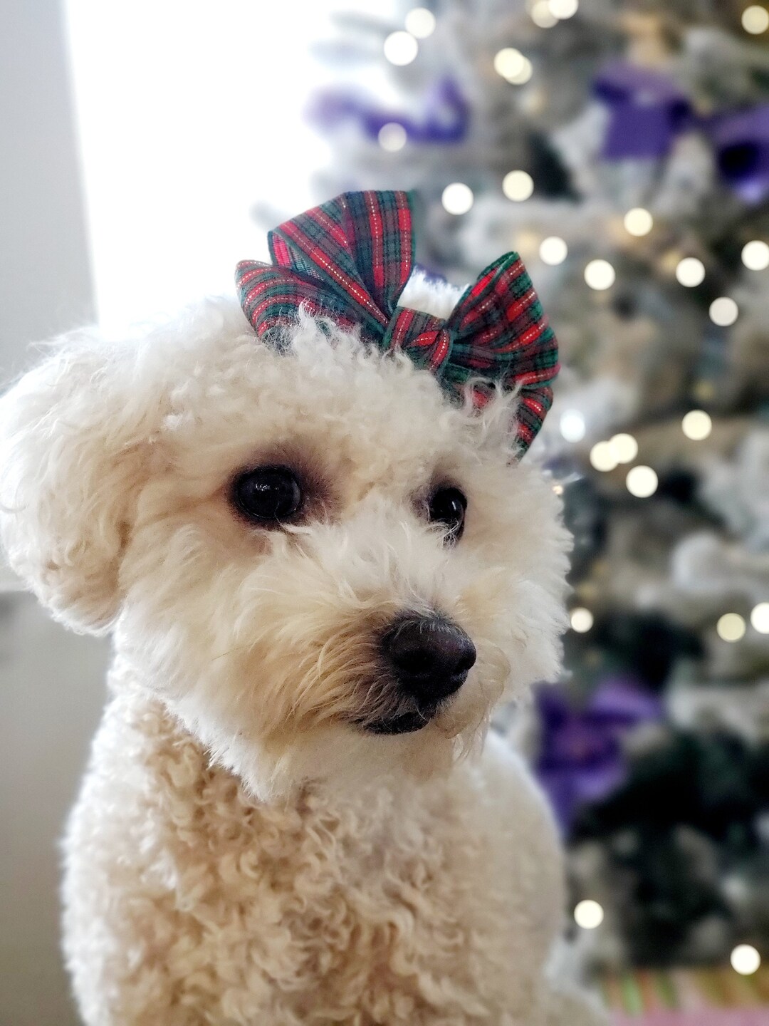 Handmade Holiday Bows for Pets - Etsy