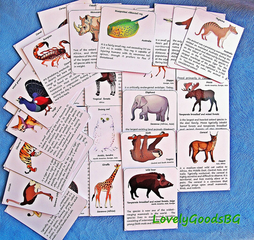 Montessori Animal Card. Animal Montessori Waldorf Cards. Baby - Etsy Canada