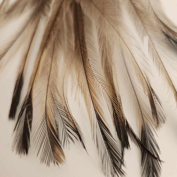 Emu Feathers - Etsy