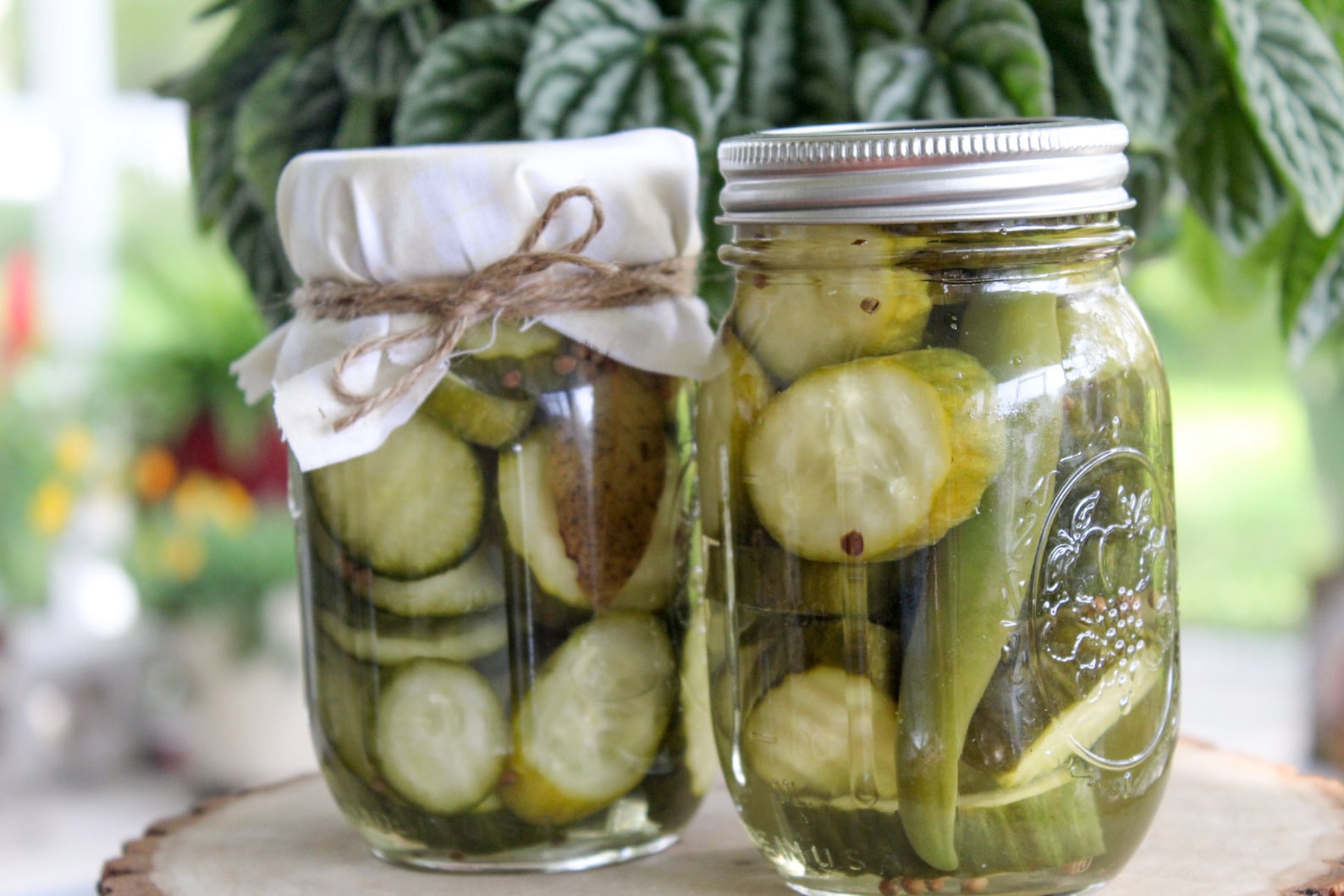 Homemade Pickles, Lebanese Cucumber Pickles, Pickled Foods ...