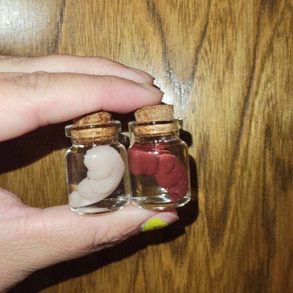Fetus in Jar - Etsy
