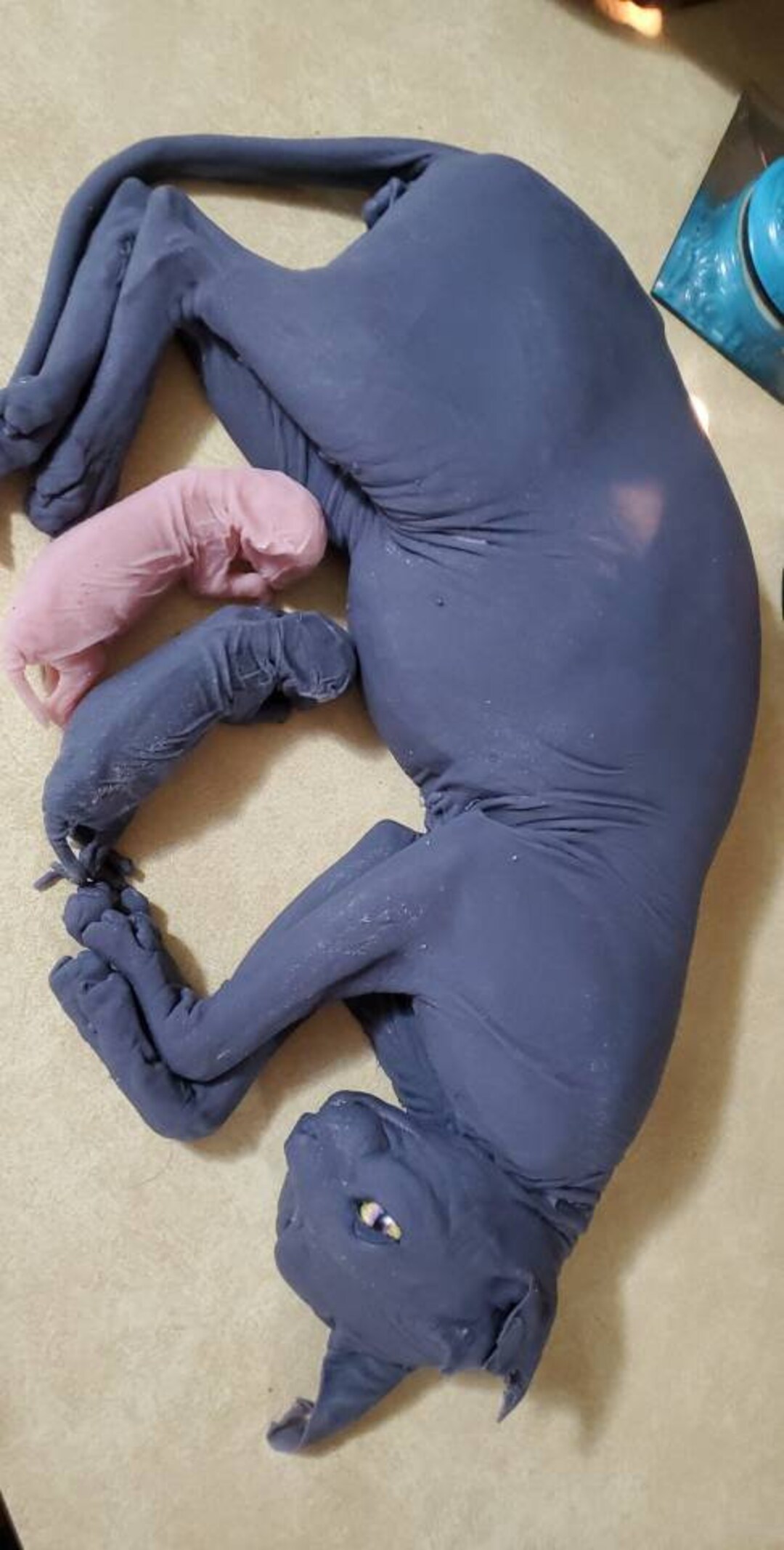 Silicone Sphynx Cat Size of Real Adult Cat - Etsy