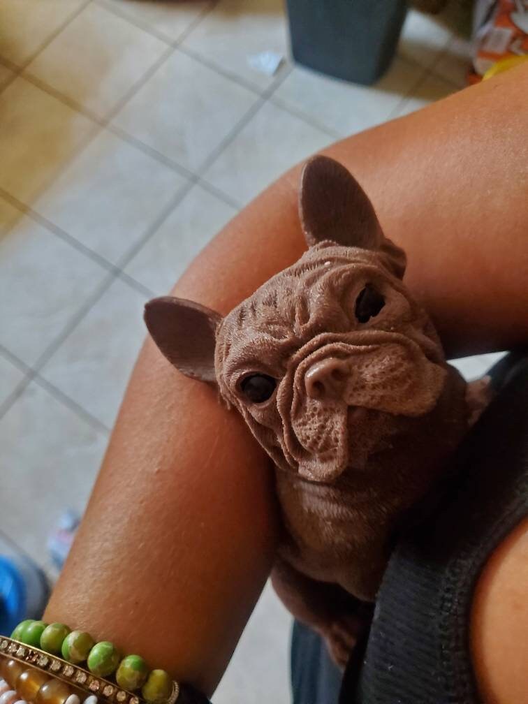 10 Full Body Silicone Frenchie Puppy Dog Open Eyes Cutie - Etsy