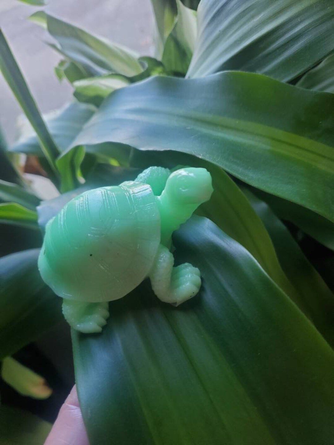 3 Full Body Baby Turtle - Etsy