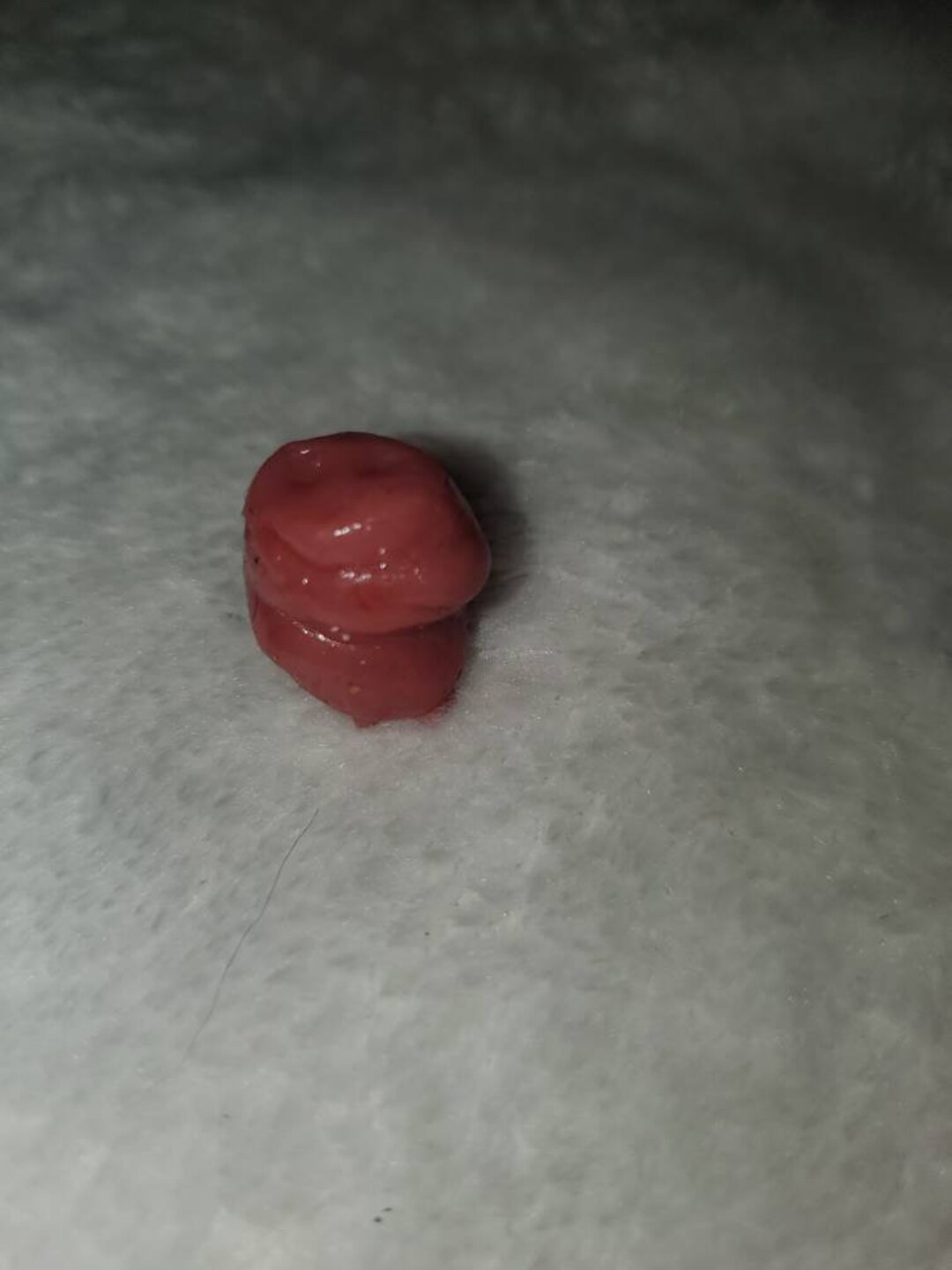 Silicone Baby Umbilical Cord Clump - Etsy