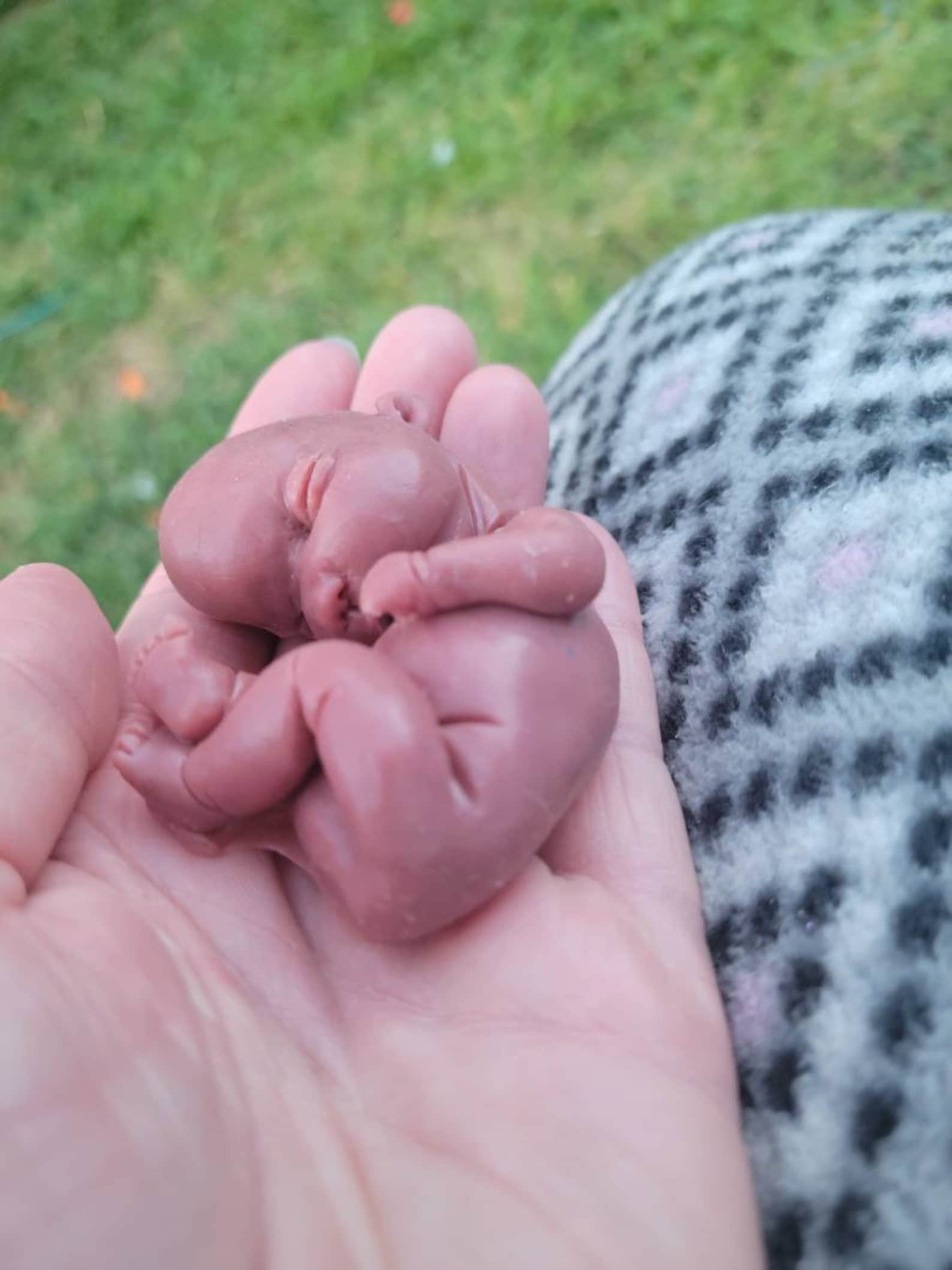 17 week gestational silicone baby fetus memorial baby | Etsy