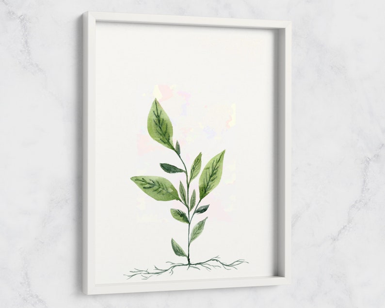 Sapling in Watercolour Art Print Botanical Illustrations - Etsy