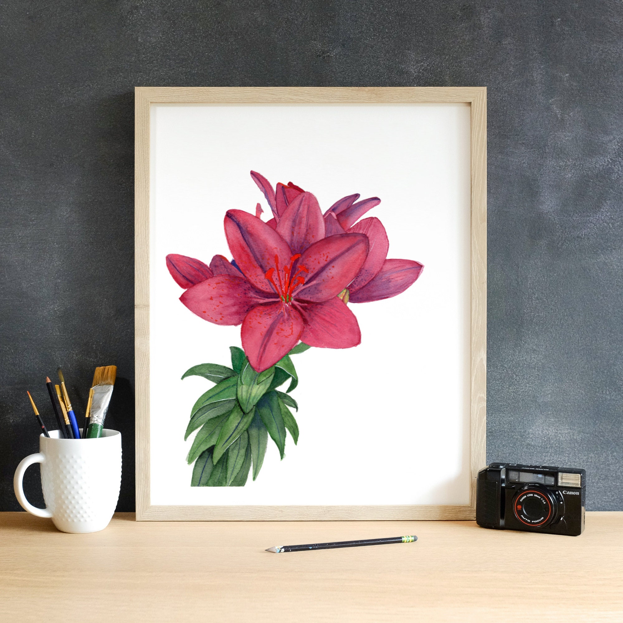 Asiatic Lily Lovely Ladies