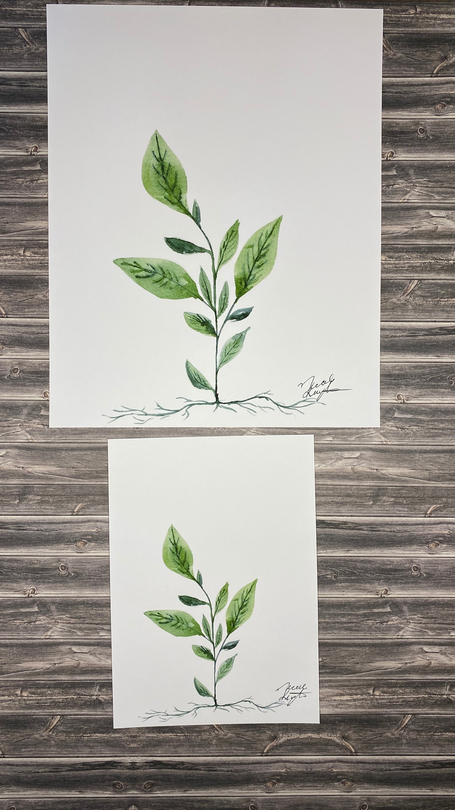 Sapling in Watercolour Art Print, Botanical Illustrations, Botanical ...