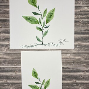 Sapling in Watercolour Art Print Botanical Illustrations - Etsy
