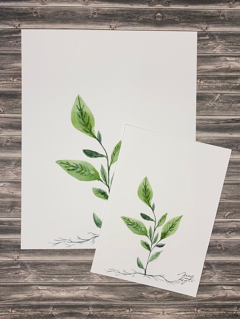 Sapling in Watercolour Art Print Botanical Illustrations - Etsy