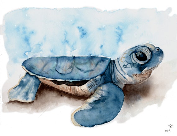 Baby Sea Turtle Paintings