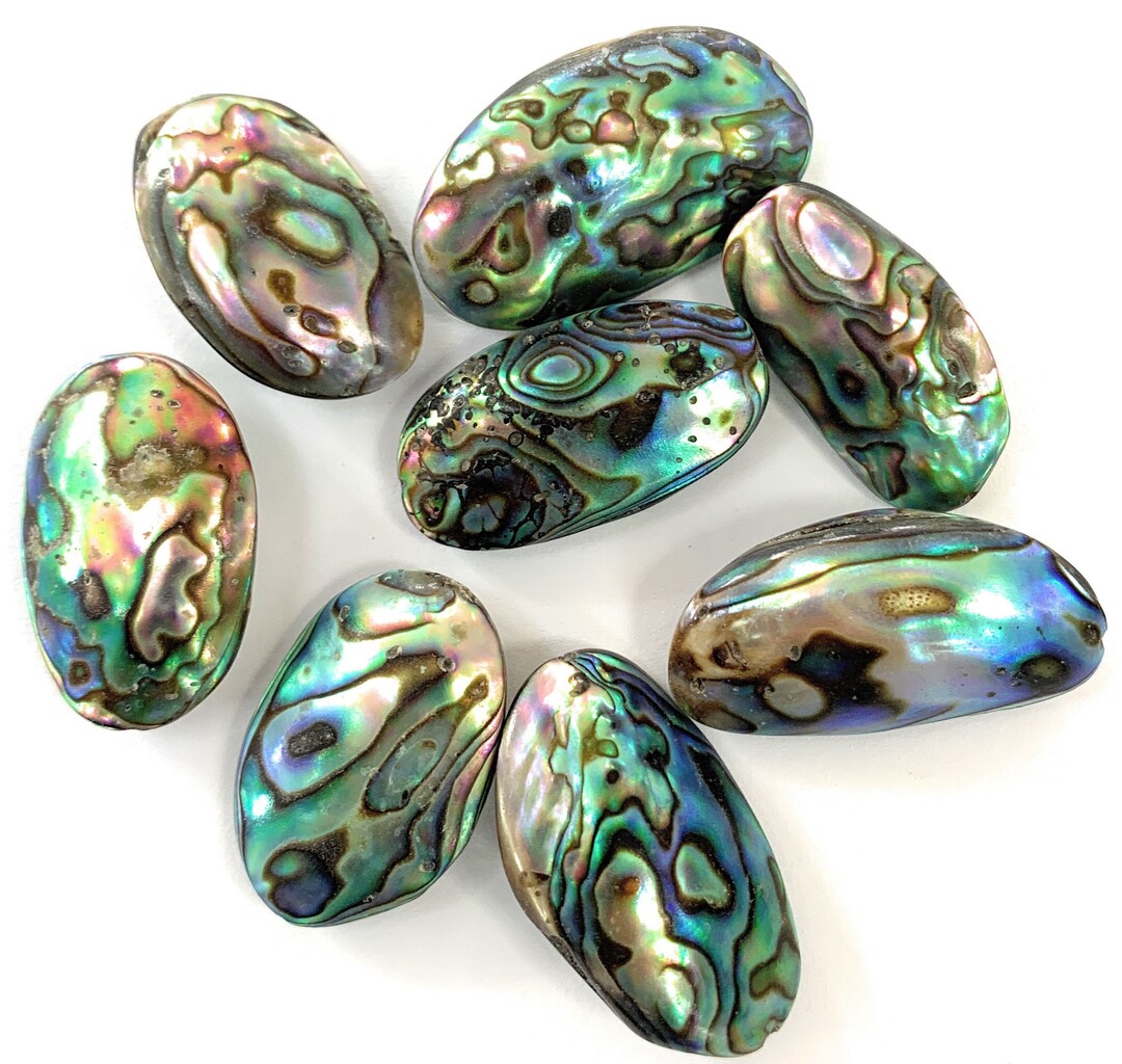 Natural Paua Shell Beads, Abalone Beads 15x25 Mm, 15 Inch Strand - Etsy
