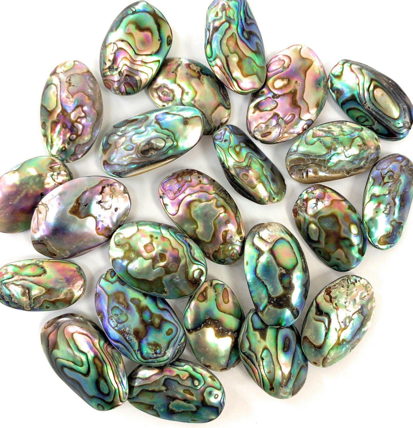 Natural Paua Shell Beads, Abalone Beads 15x25 Mm, 15 Inch Strand - Etsy