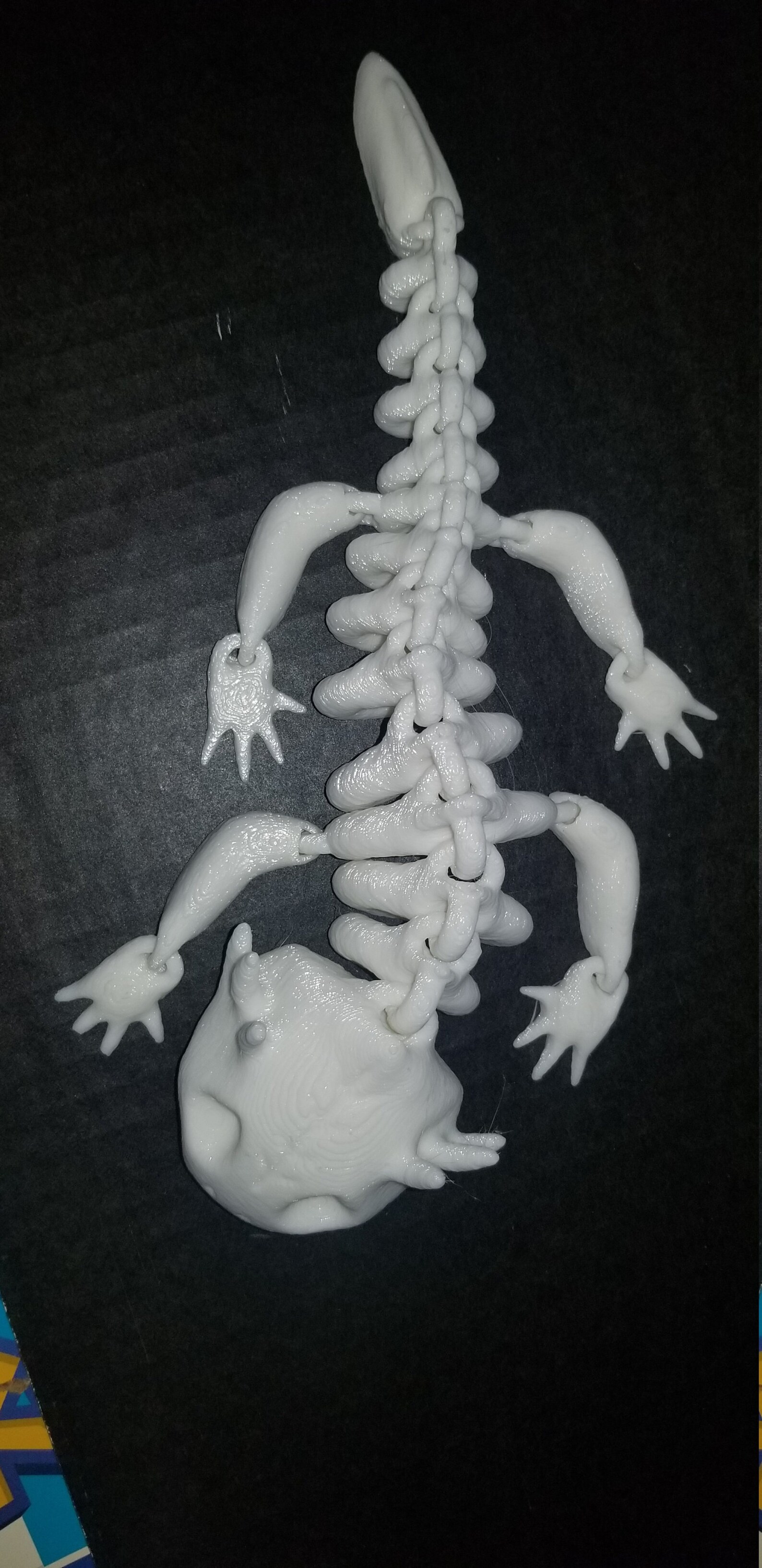 Articulated Skeleton Axolotl 10 Long Fidget Toy - Etsy