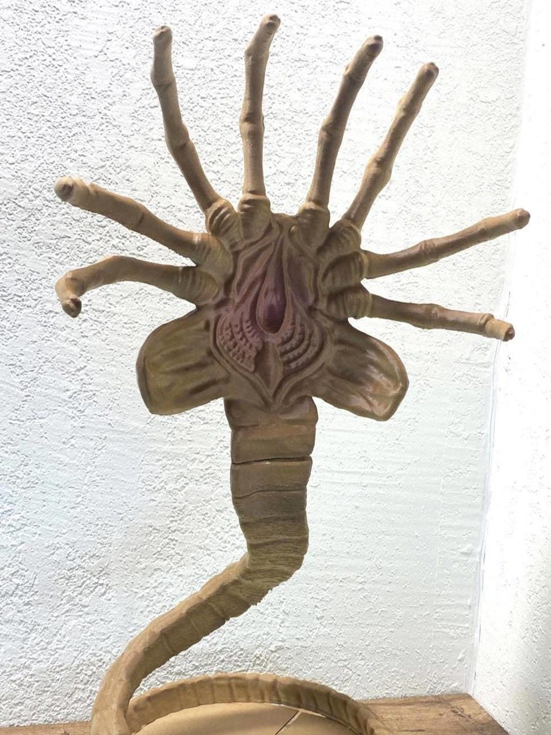 Lifesize Facehugger Figure - Xenomorph Alien Face Hugger Display ...