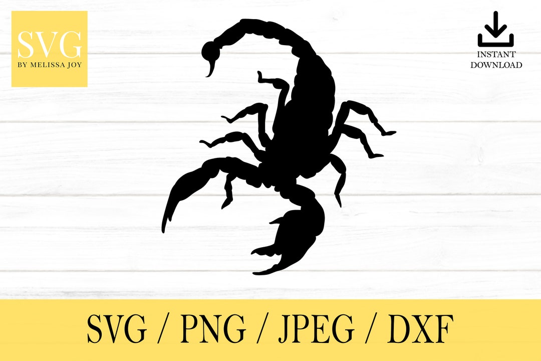 Scorpion Svg, Animal SVG, Svg, Png, Dxf, Jpeg, Digital Download, Cut ...