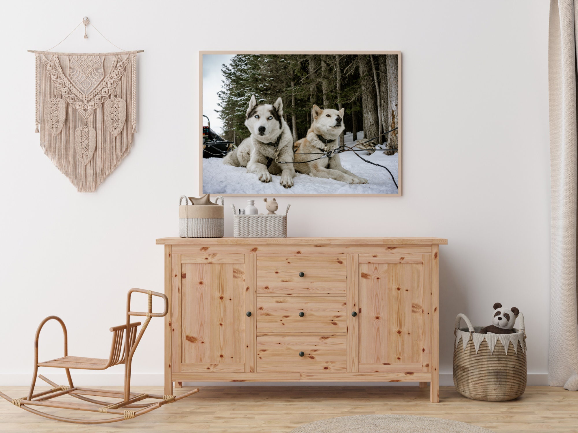Winter Wonderland Sled Dog Digital Print Husky Dog Sledding Team ...