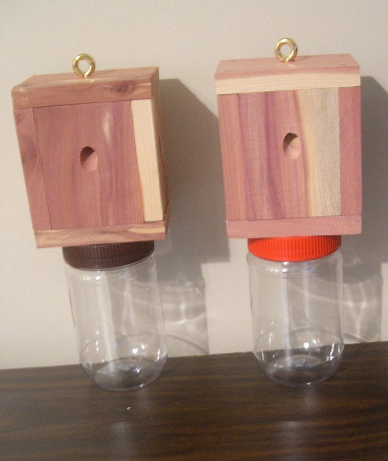 Carpenter/wood Bee Trap - Etsy