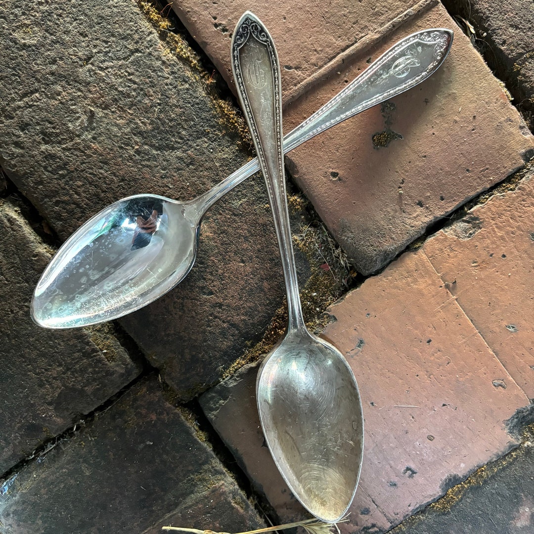 1900s 1910 ANTIQUE VINTAGE Community Plate Sheraton Pattern Letter B ...