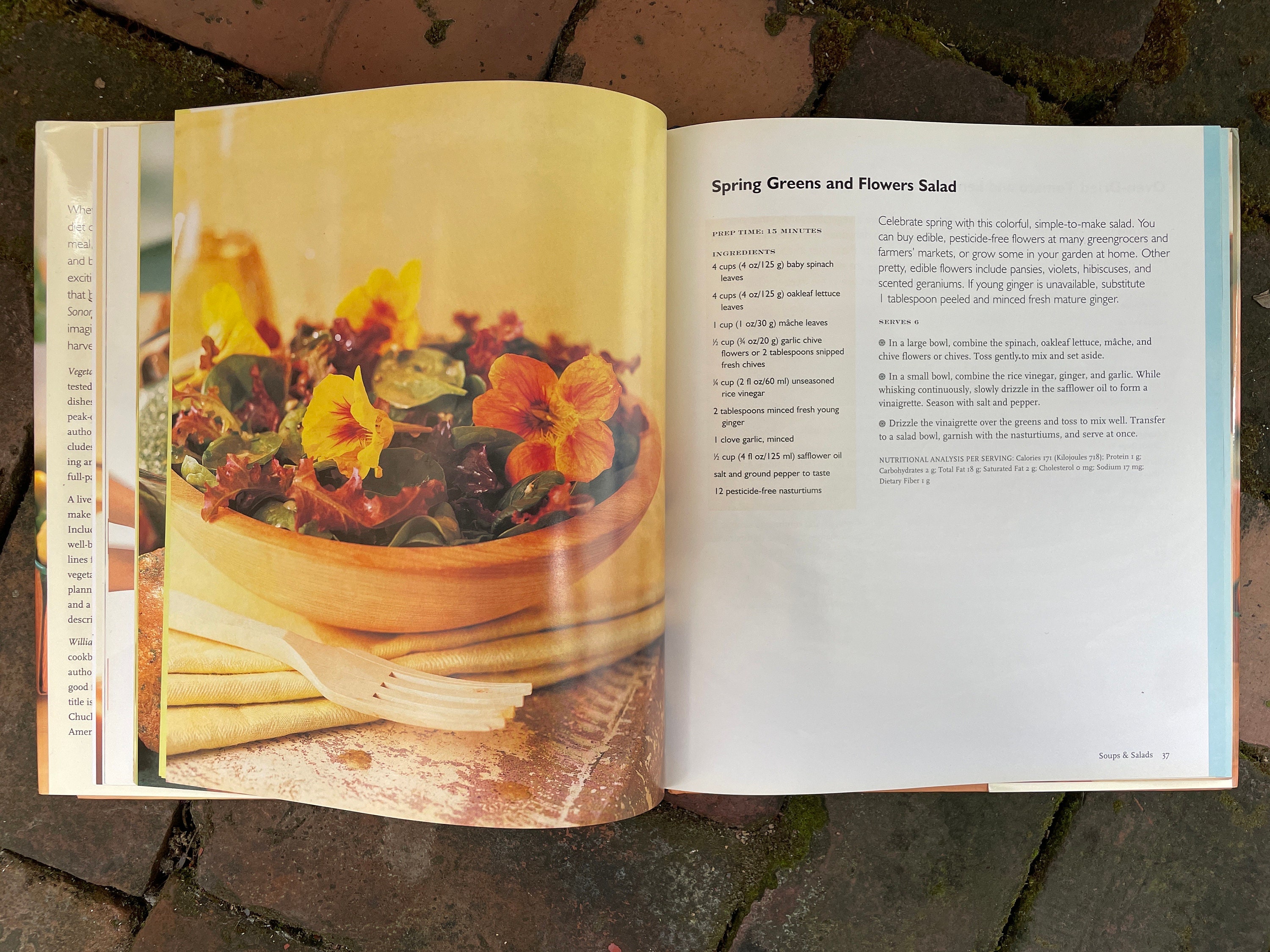 90s 1998 VINTAGE WILLIAMS SONOMA Vegetarian for All Seasons Cookbook ...