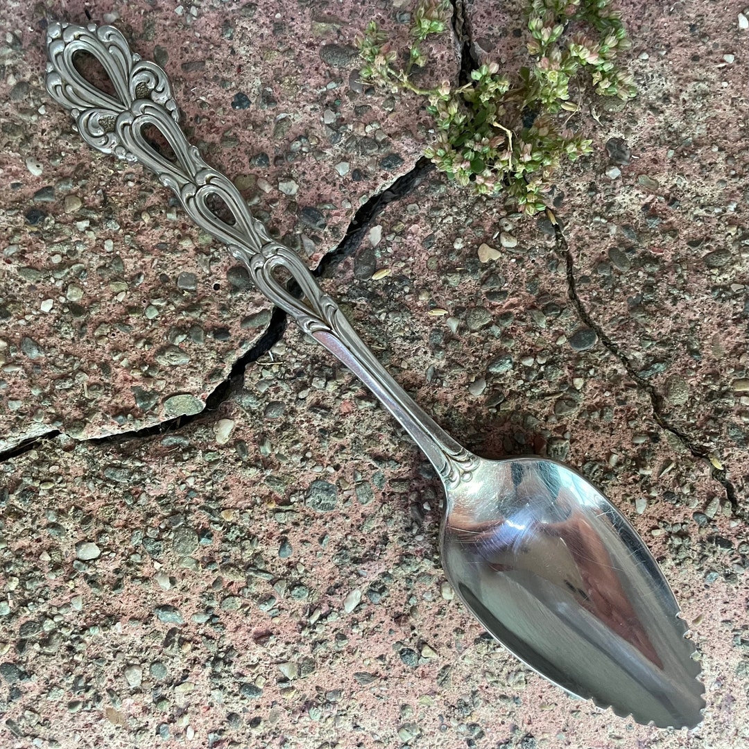 70s 80s VINTAGE Oneida Community Chandelier Pattern Spoon Citrus ...