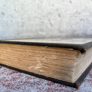 20s 1924 ANTIQUE VINTAGE Hans Brinker or the Silver Skates Mary Mapes ...