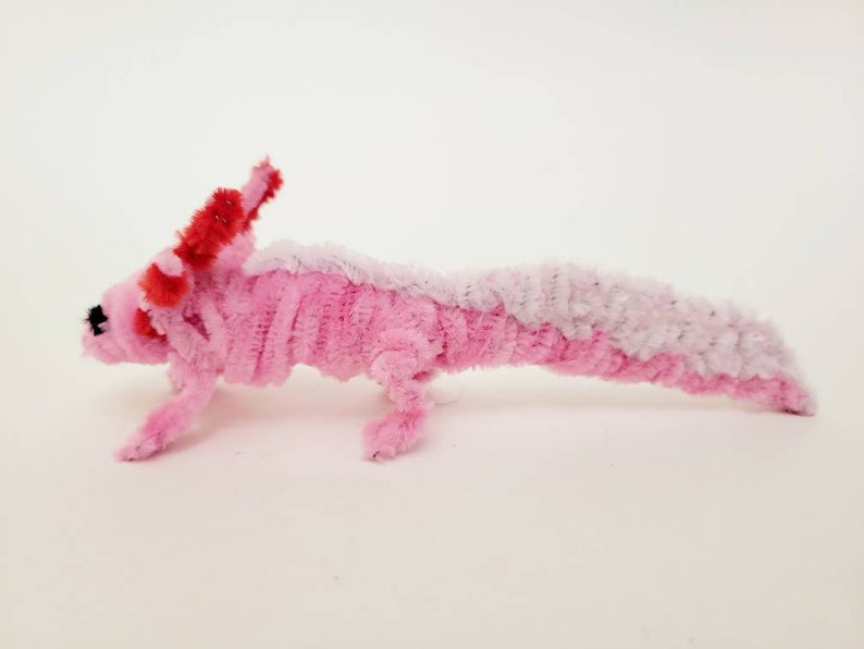 Axolotl Pipe Cleaner Animal - Etsy Israel
