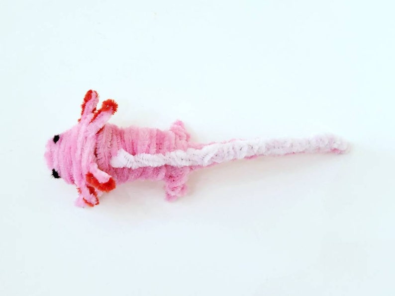 Axolotl Pipe Cleaner Animal - Etsy Israel