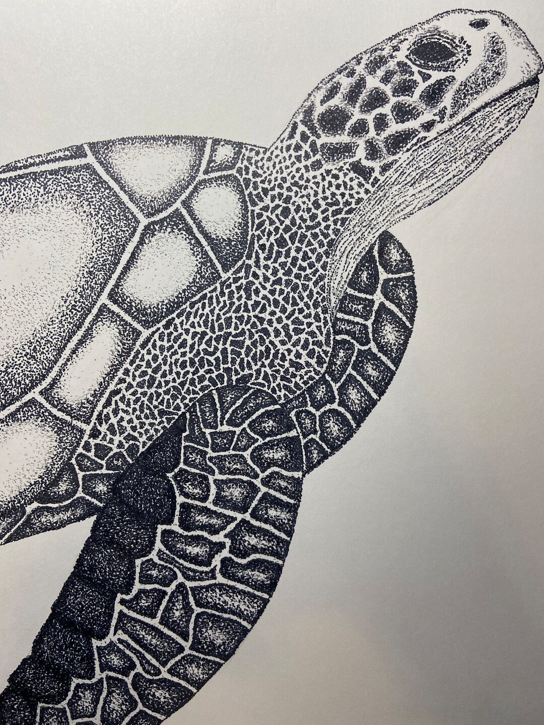 Original Turtle Pen and Ink Drawing - Nature-inspired Artwork Stippling ...