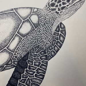 Original Turtle Pen and Ink Drawing - Nature-inspired Artwork Stippling ...
