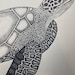 Original Turtle Pen and Ink Drawing - Nature-inspired Artwork Stippling ...