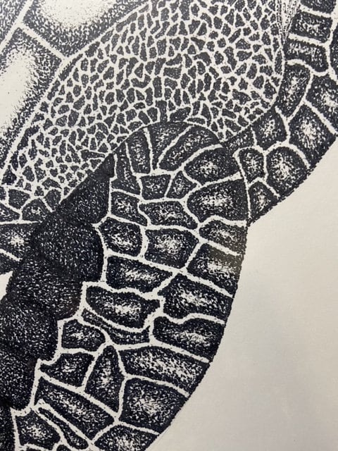 Original Turtle Pen and Ink Drawing - Nature-inspired Artwork Stippling ...