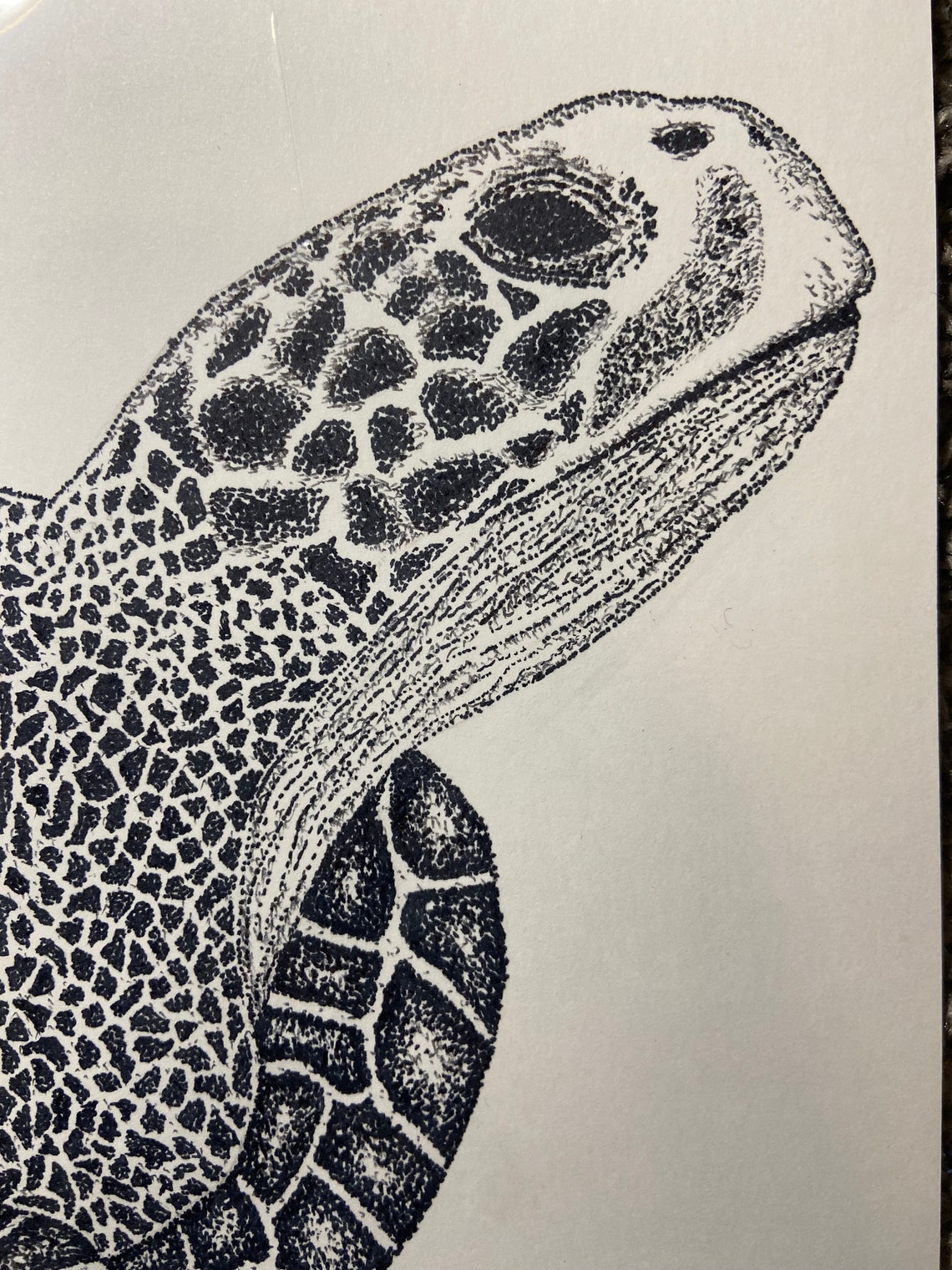 Original Turtle Pen and Ink Drawing - Nature-inspired Artwork Stippling ...