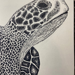 Original Turtle Pen and Ink Drawing - Nature-inspired Artwork Stippling ...