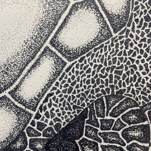 Original Turtle Pen and Ink Drawing - Nature-inspired Artwork Stippling ...