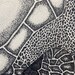 Original Turtle Pen and Ink Drawing - Nature-inspired Artwork Stippling ...